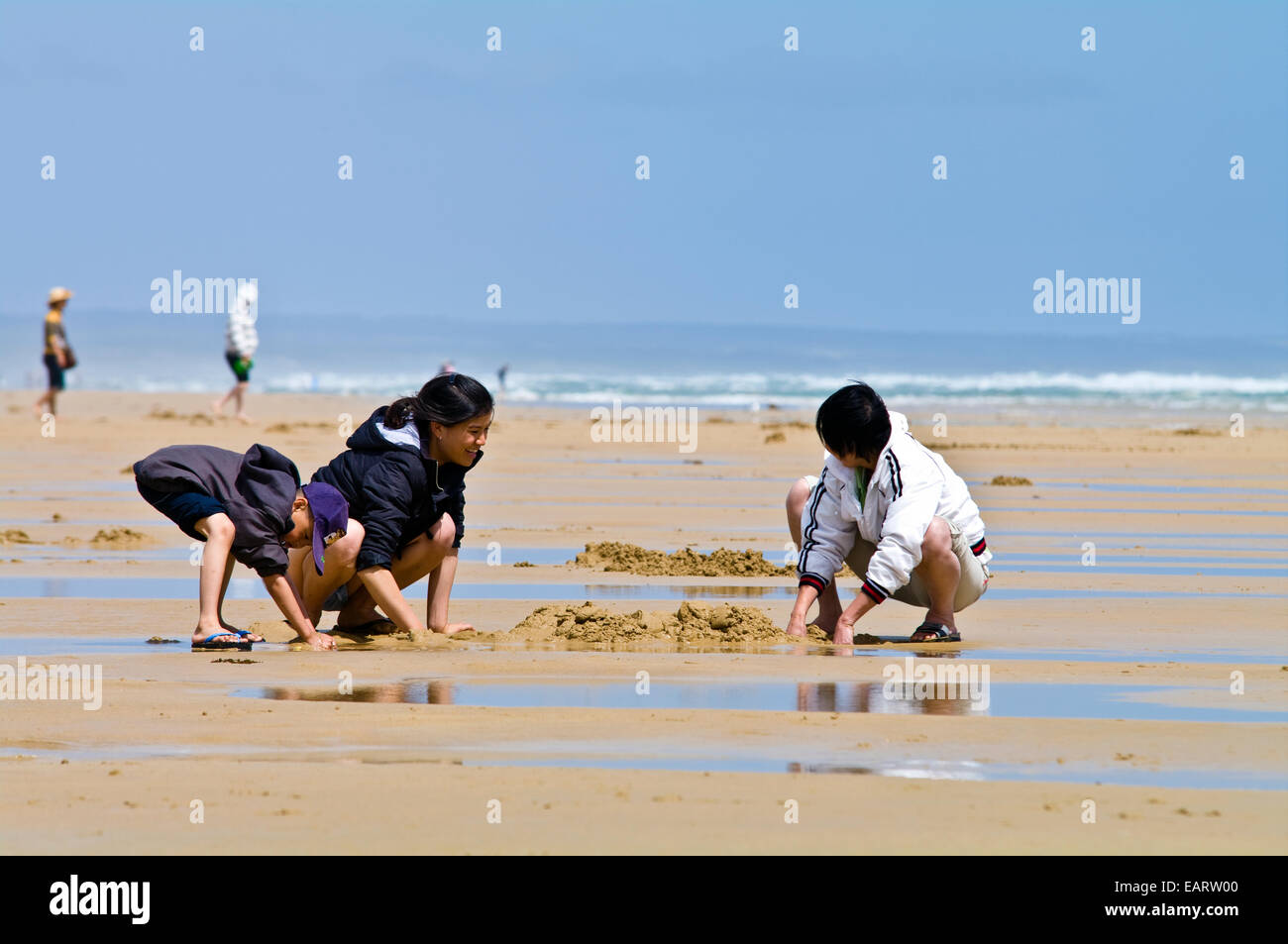 Pipi australia hi-res stock photography and images - Alamy