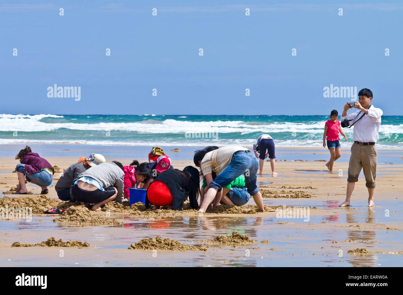 Pipi australia hi-res stock photography and images - Alamy