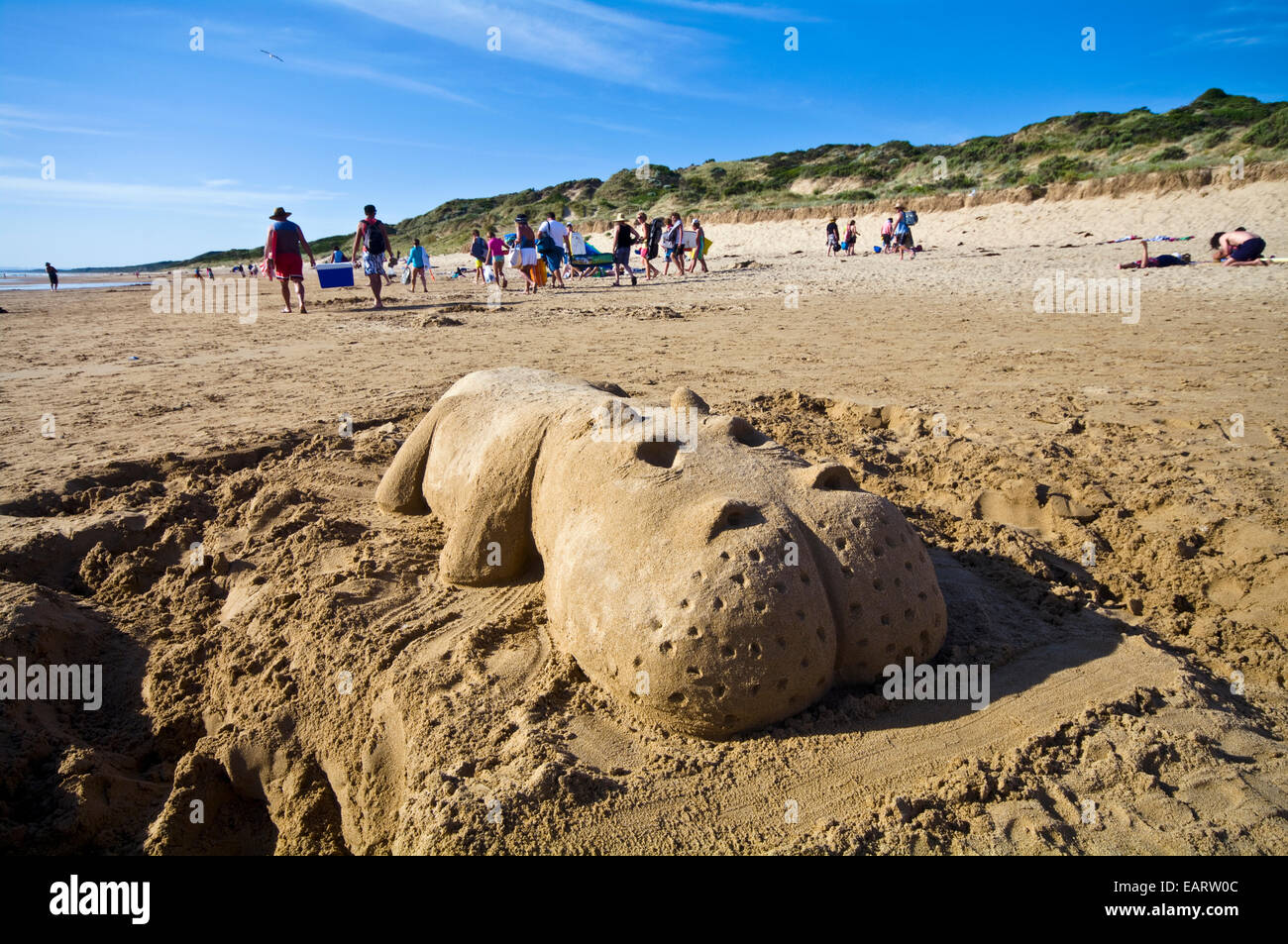 A hippopotamus sand sculpture carved into a beach at low tide Stock ...