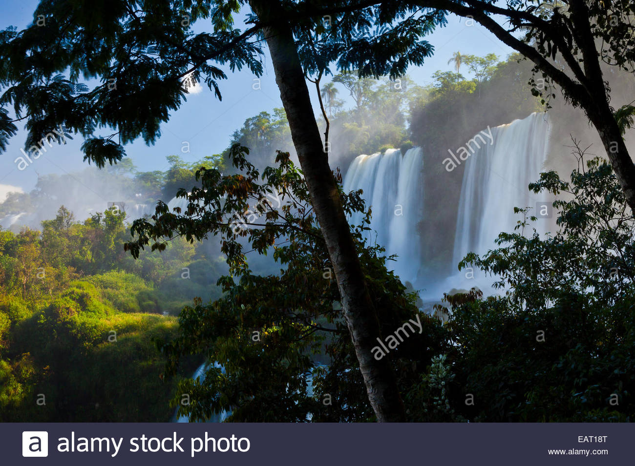 View of powerful Iguazu Falls through lush trees Stock Photo - Alamy