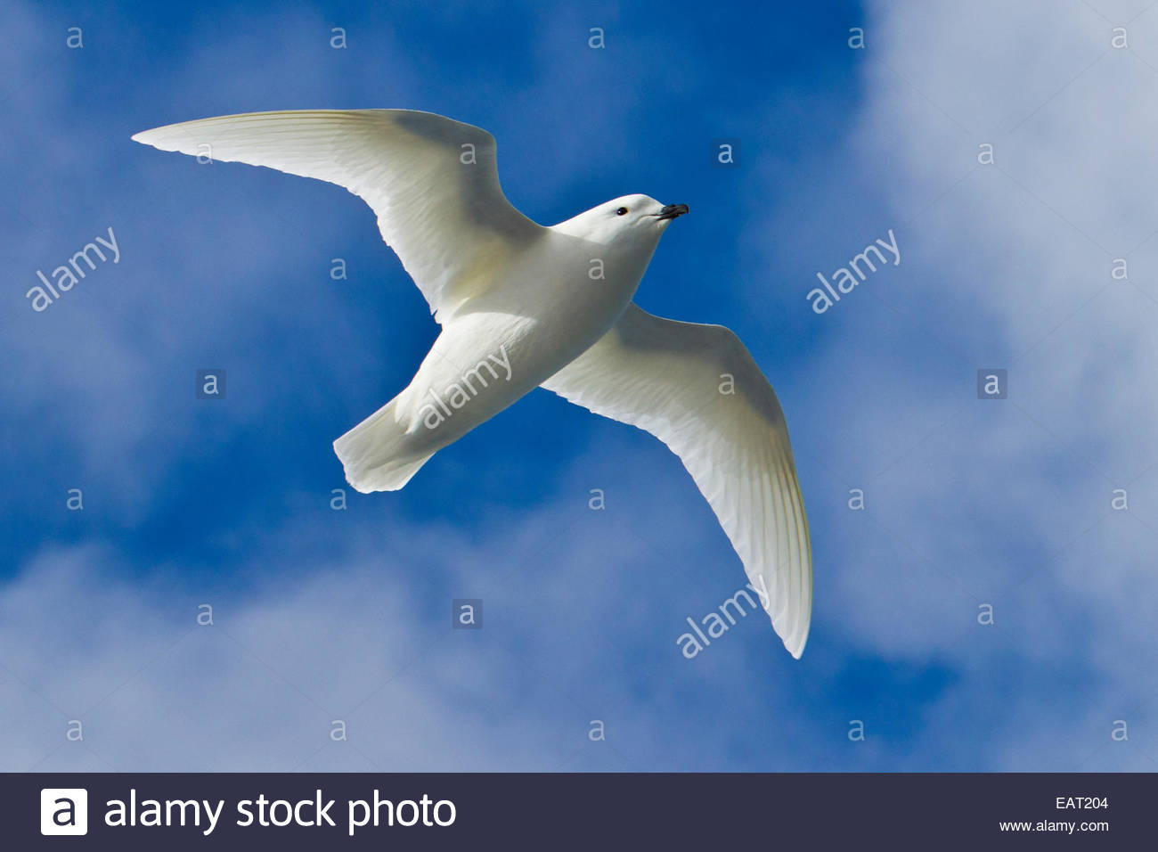Flying with a view hi-res stock photography and images - Alamy