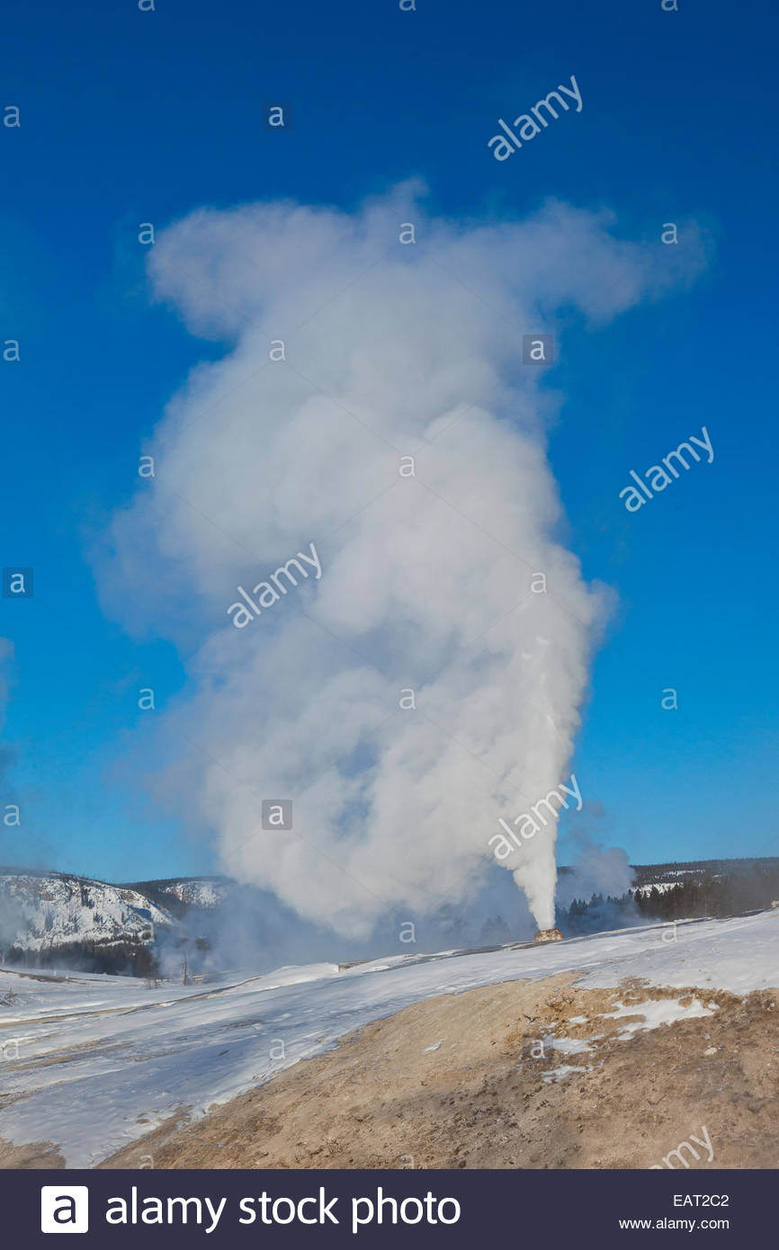 Steam rises from a large natural geyser Stock Photo - Alamy