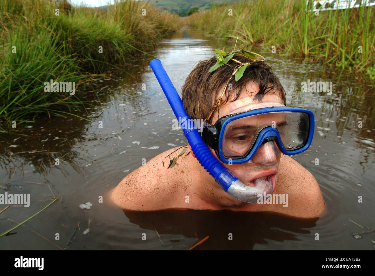 World Bog Snorkelling Championships, Llanwrtyd Well, Powys, Wales, UK ...