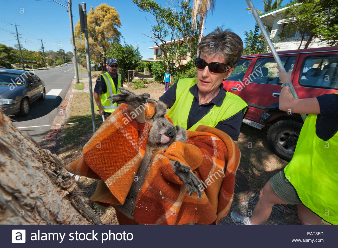 Hit By Car Stock Photos & Hit By Car Stock Images - Alamy