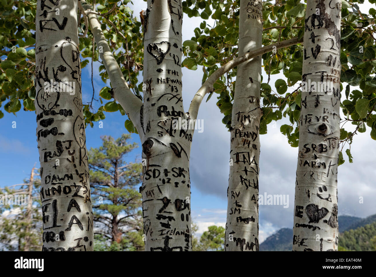 Graffiti Deface High Resolution Stock Photography and Images - Alamy