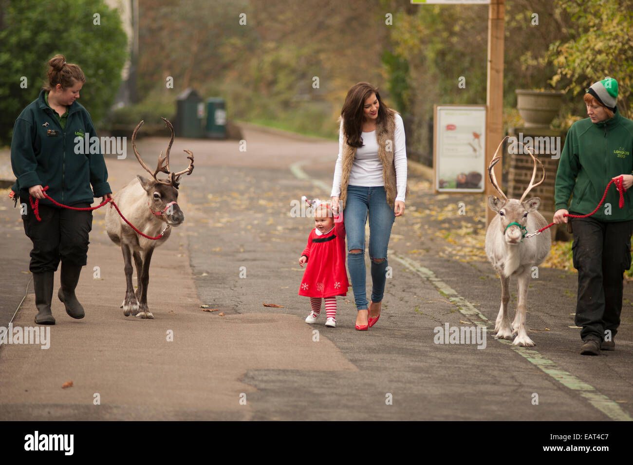 ZSL, London Zoo, Regent’s Park, UK. 20th November, 2014. Model Imogen ...