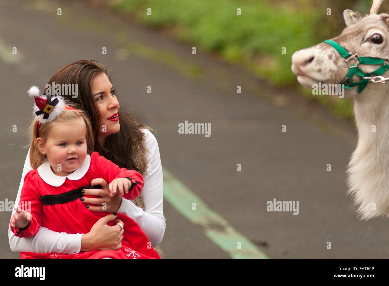 ZSL, London Zoo, Regent’s Park, UK. 20th November, 2014. Model Imogen ...