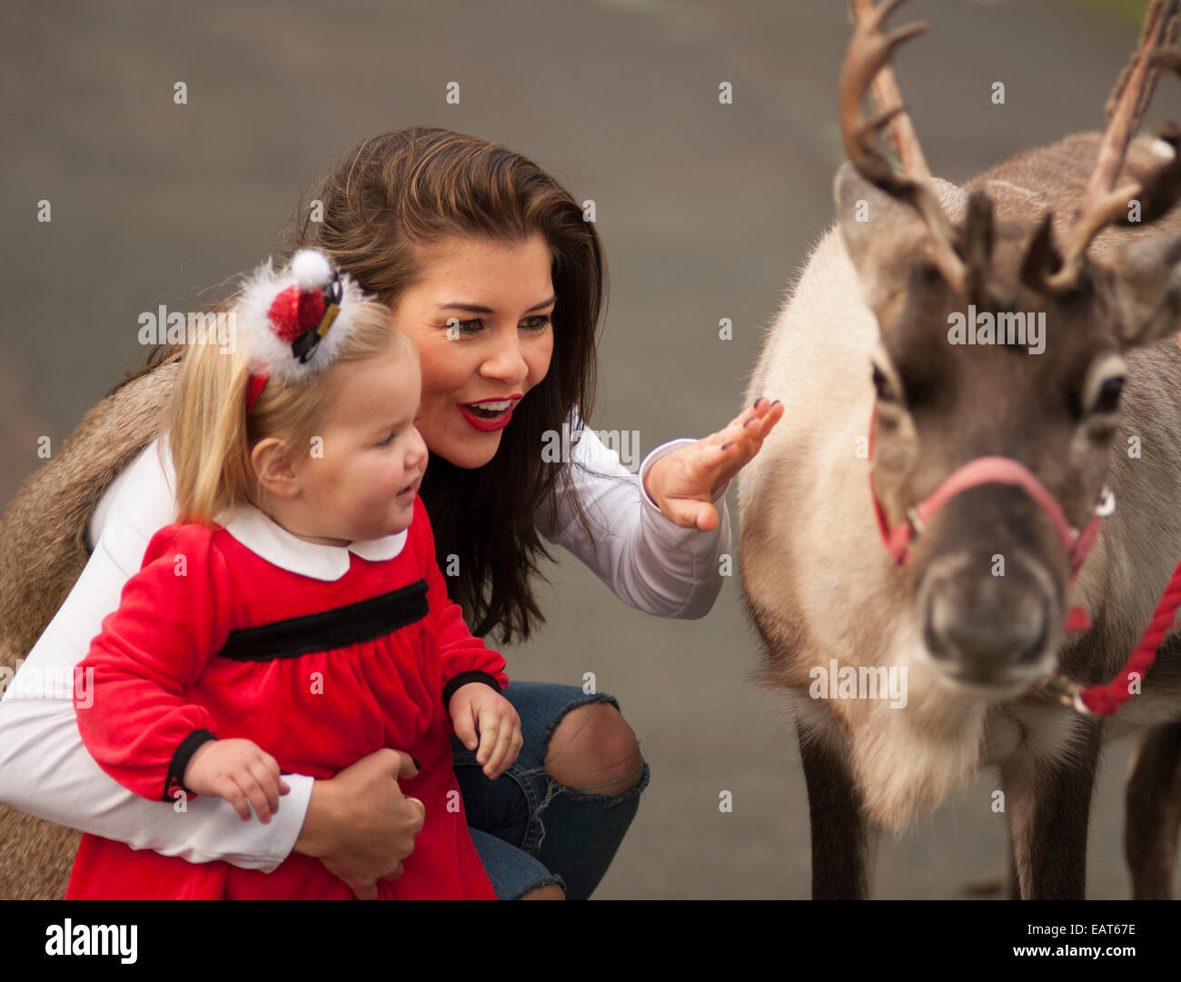 ZSL, London Zoo, Regent’s Park, UK. 20th November, 2014. Model Imogen ...