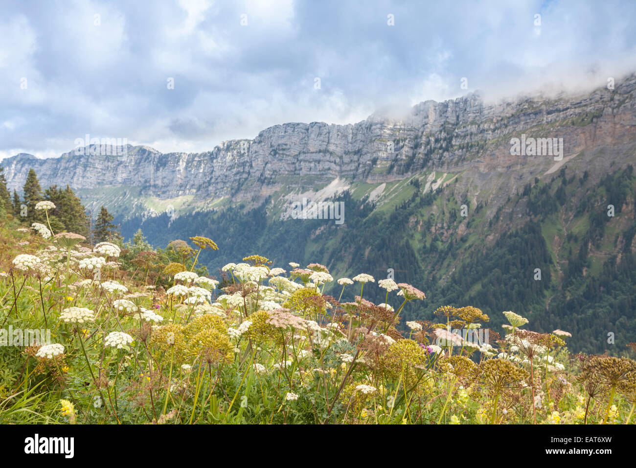 Parc Nature de la Chartreuse, Isere, Rhône-Alpes, France Stock Photo ...