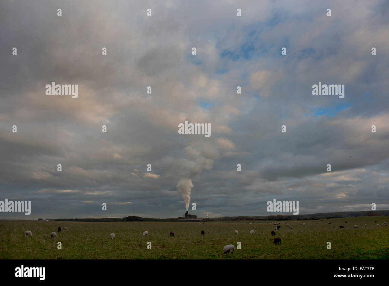 Norbord hi-res stock photography and images - Alamy