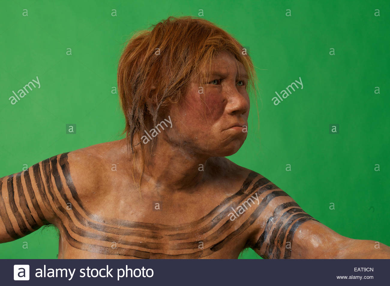 Sculpture Of Neanderthal Stock Photos & Sculpture Of Neanderthal Stock ...