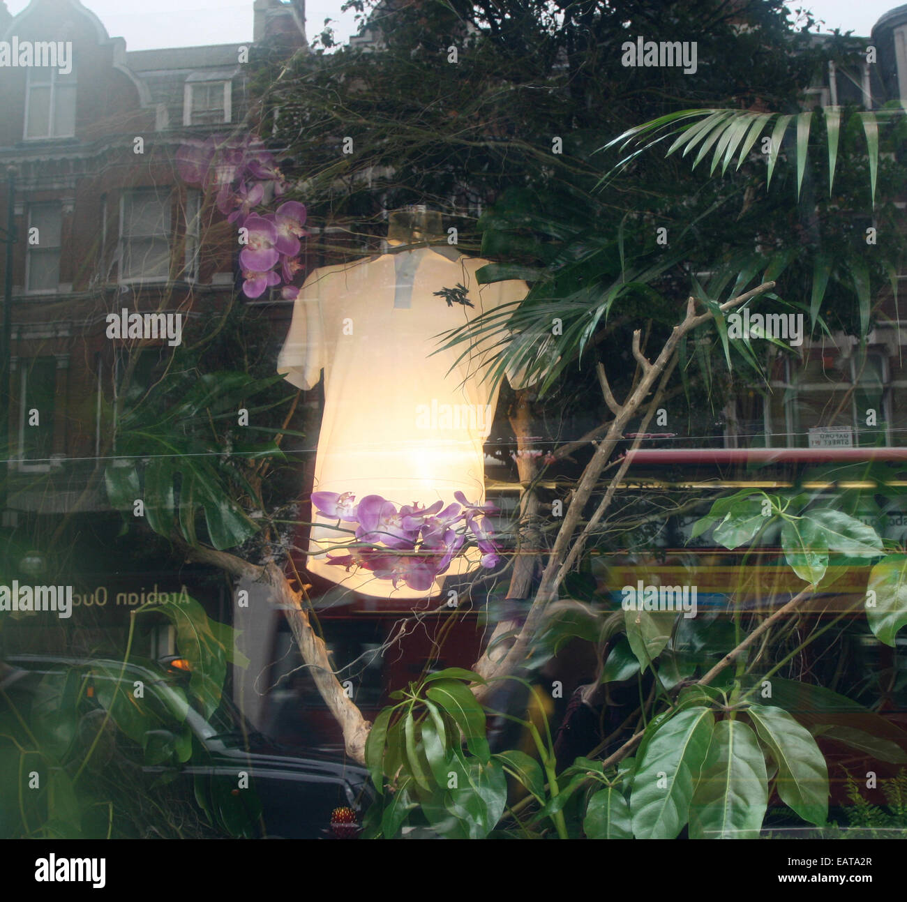 Shop window in London reflectiong the street sceen, it's a jungle out ...