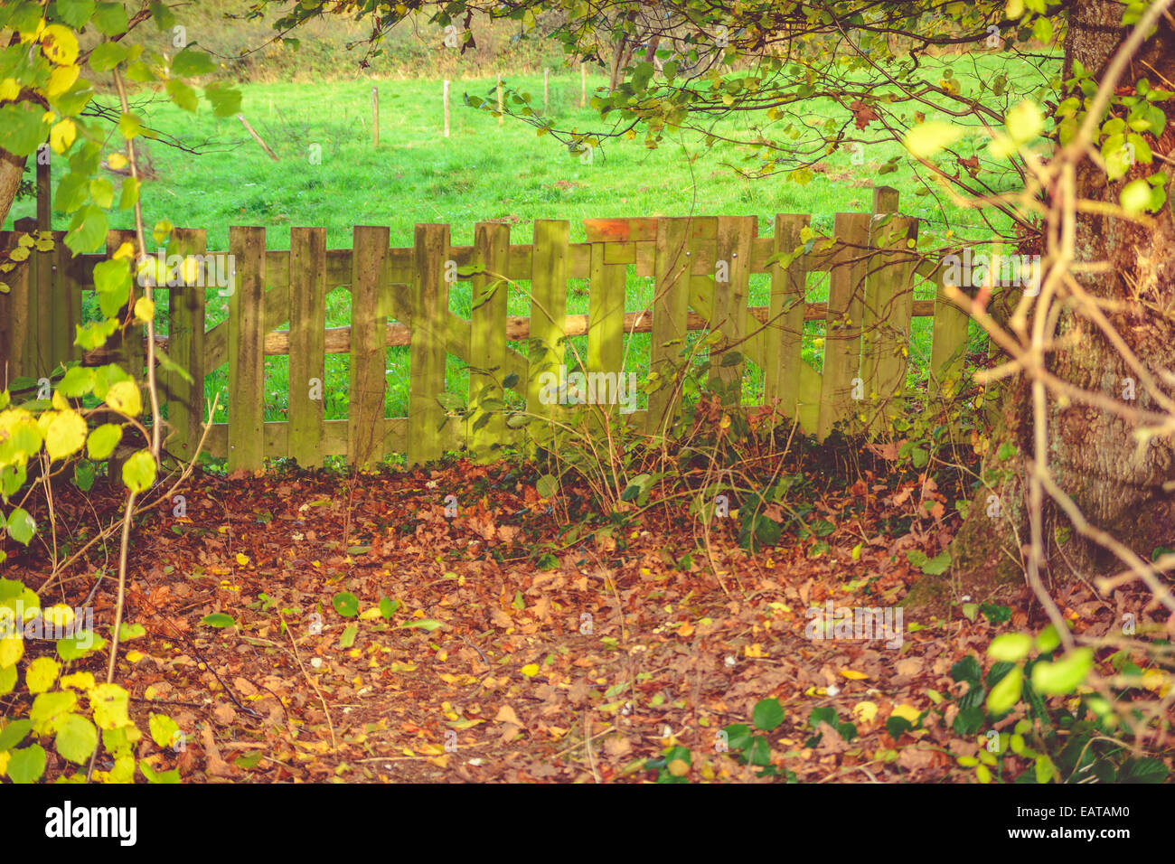 Wooden fence autumn color hi-res stock photography and images - Alamy