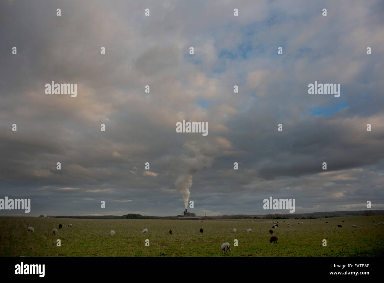 Norbord hi-res stock photography and images - Alamy