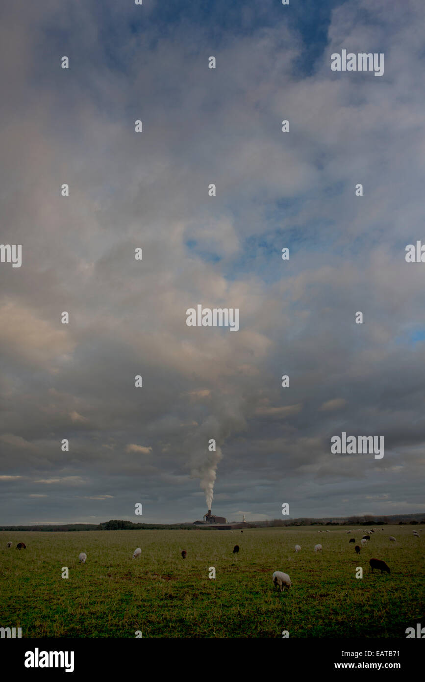 Norbord factory at Dalcross near Inverness Stock Photo - Alamy