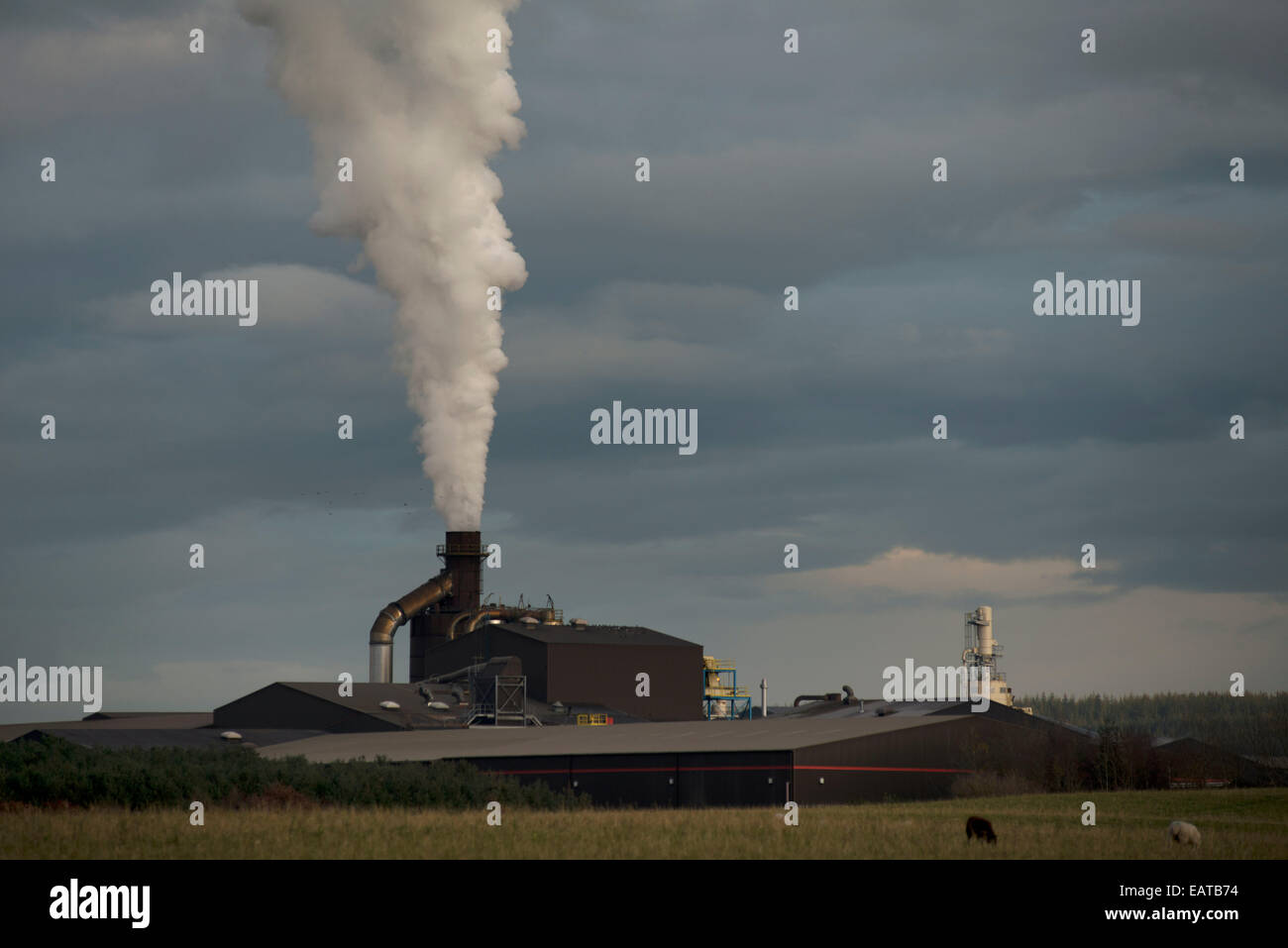 Norbord factory at Dalcross near Inverness Stock Photo - Alamy
