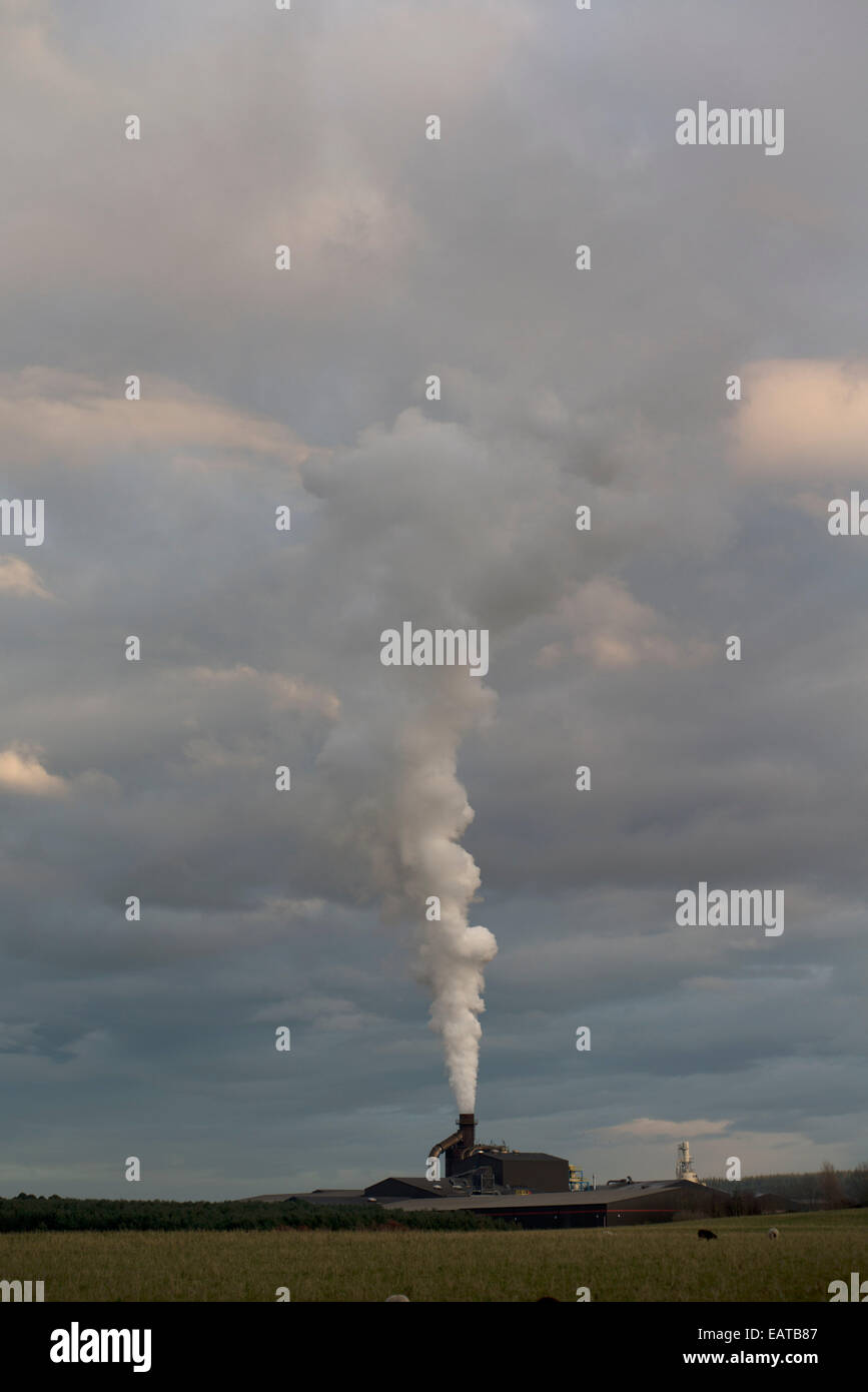 Wood based panel industry hi-res stock photography and images - Alamy