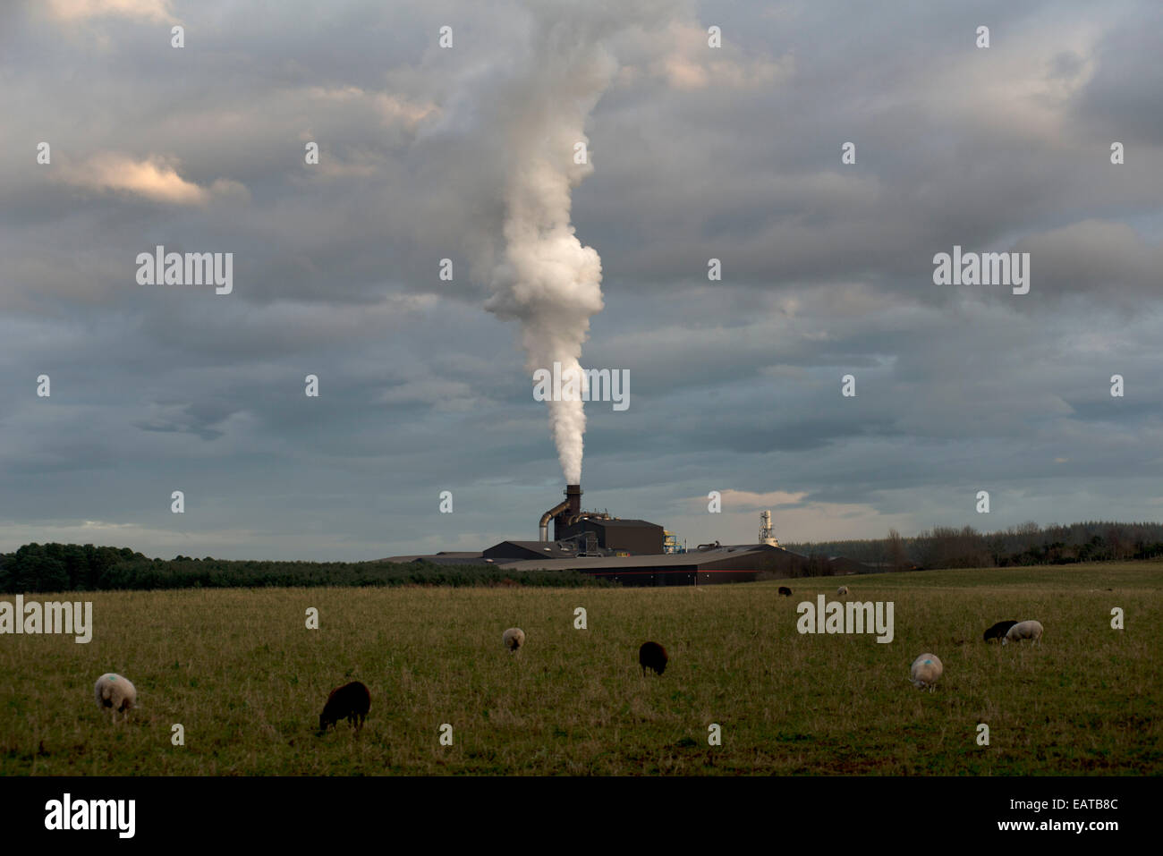 Dalcross hi-res stock photography and images - Alamy