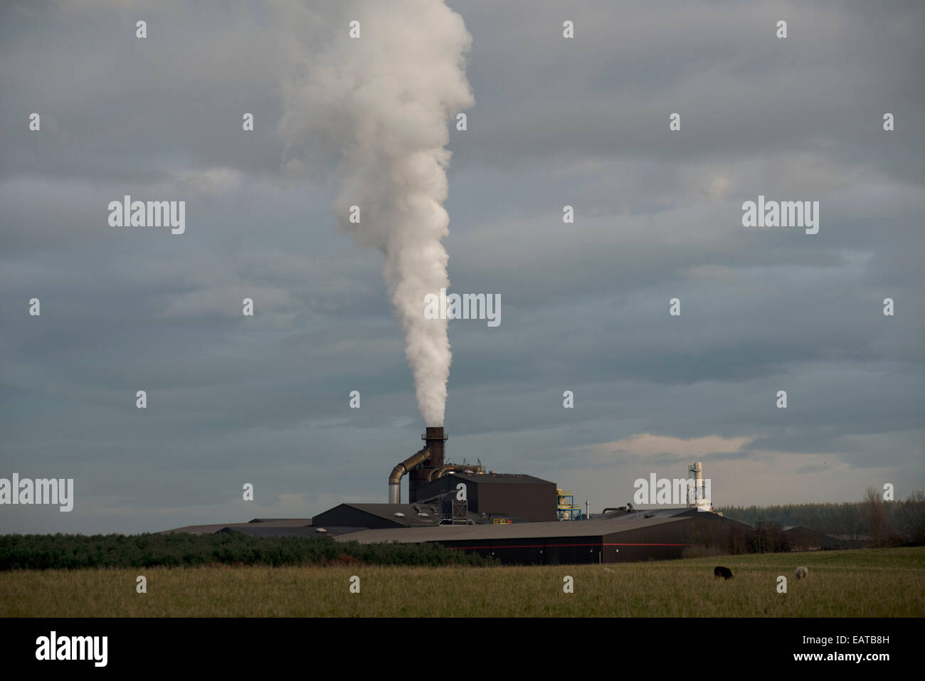 Norbord factory at Dalcross near Inverness Stock Photo - Alamy