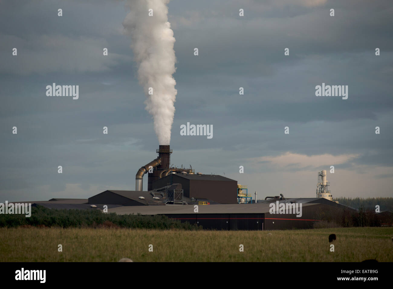 Norbord factory at Dalcross near Inverness Stock Photo - Alamy