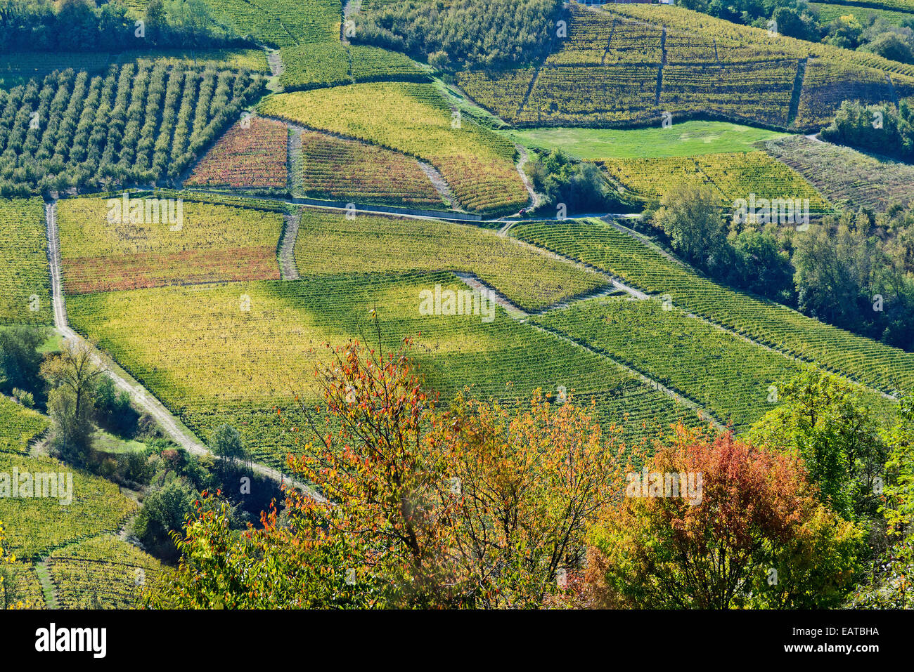 Italy,panorama of vineyards of Piedmont: Langhe-Roero and Monferrato on ...