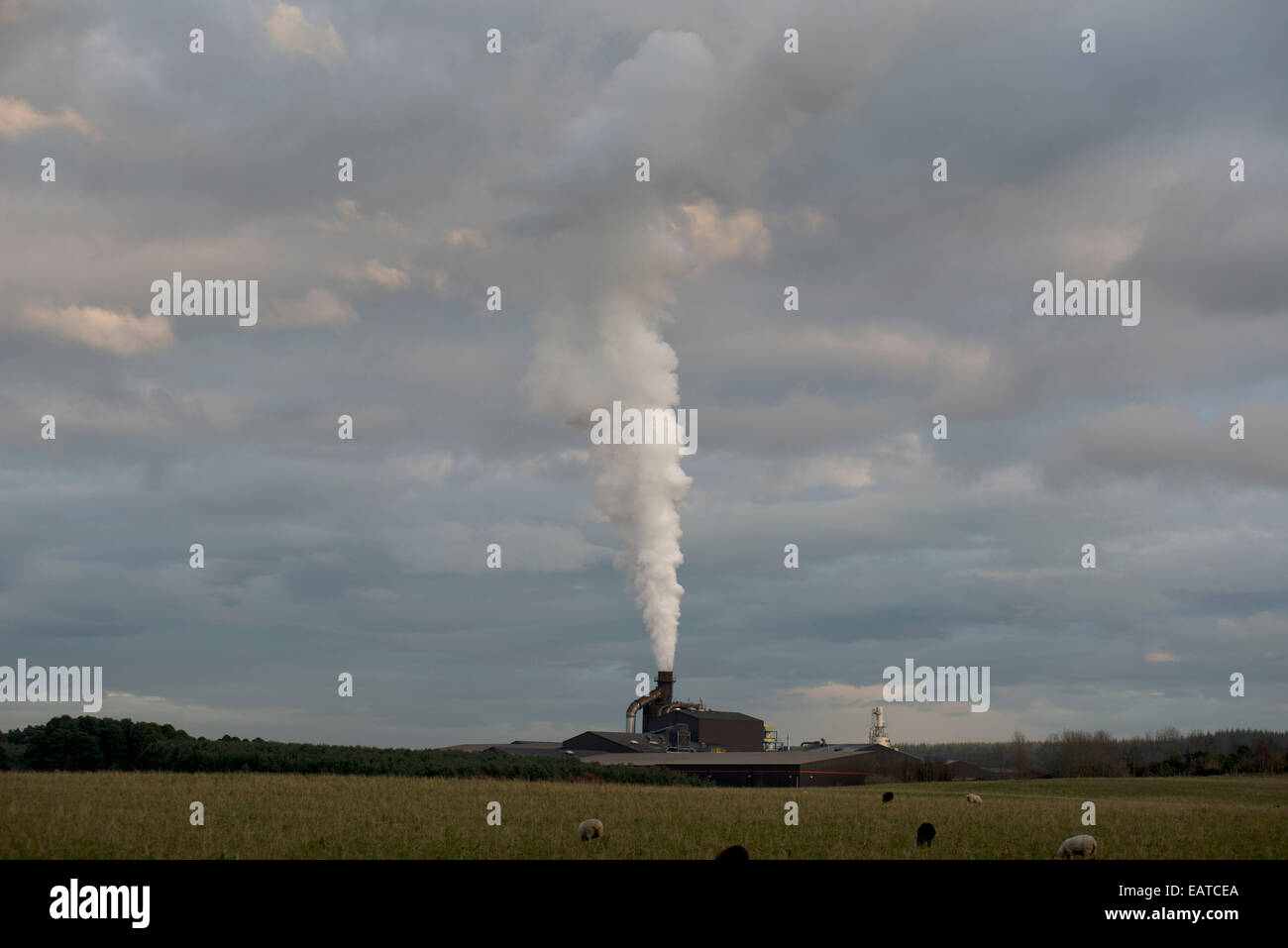 Norbord factory at Dalcross near Inverness Stock Photo - Alamy