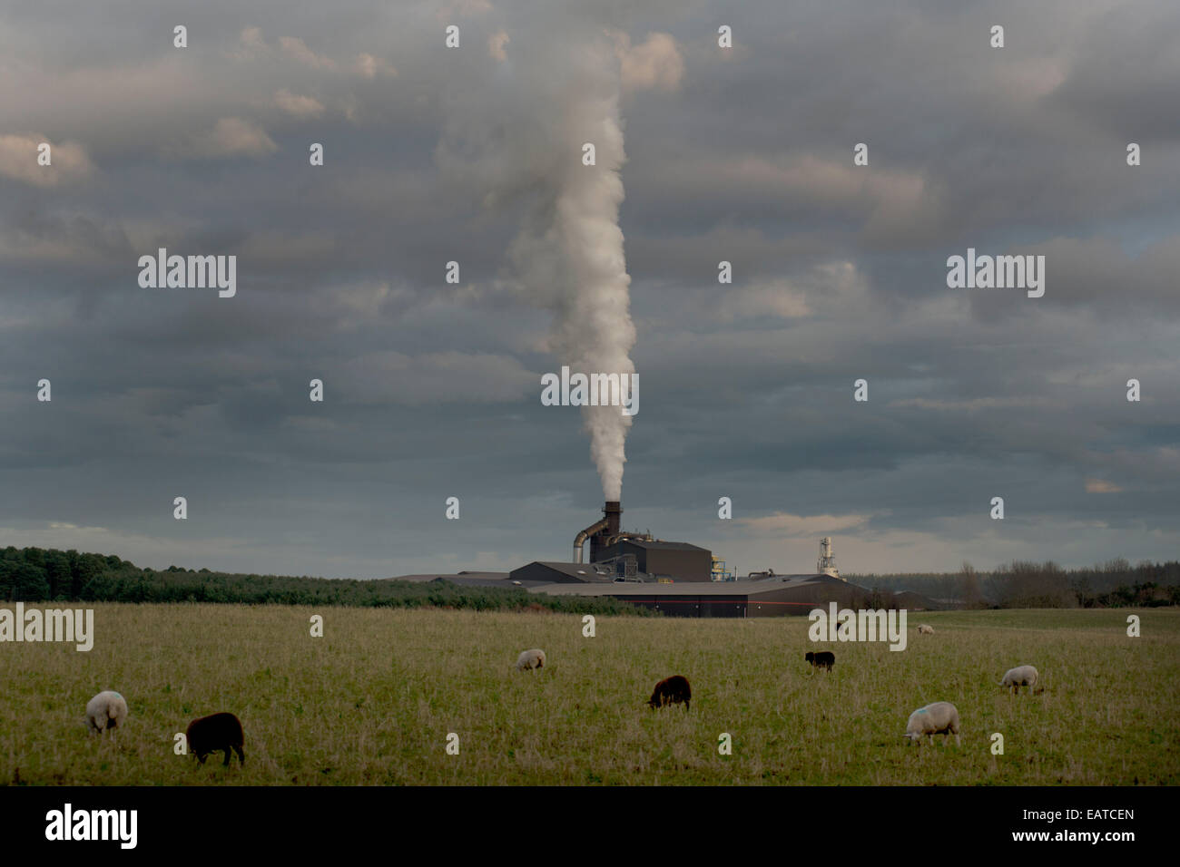 Norbord factory dalcross near inverness hi-res stock photography and ...