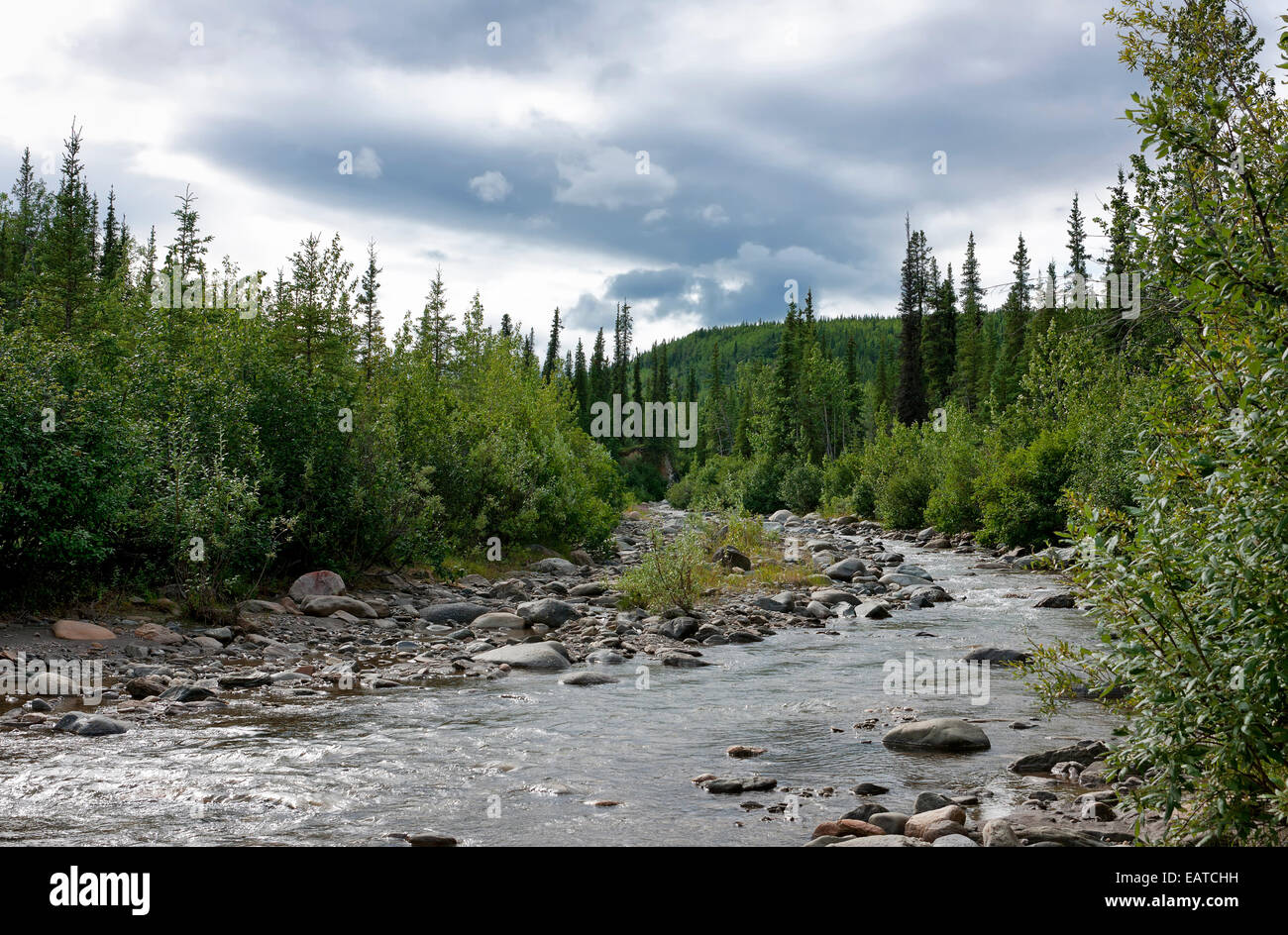 Stormy clouds gather over bending riverbed in the forest: Denali ...