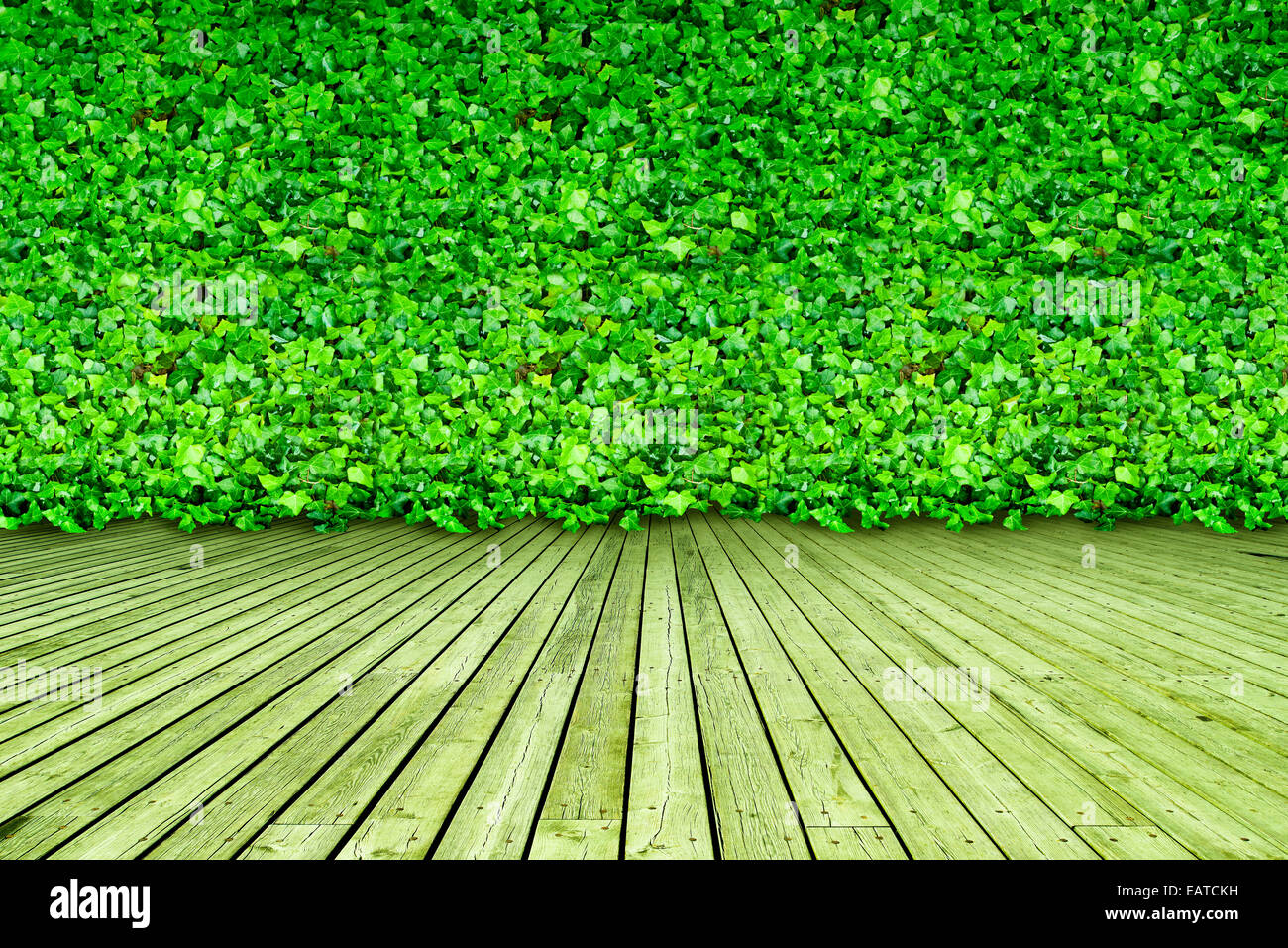 Interior Design with natural, green, leaf wallpaper Stock Photo - Alamy