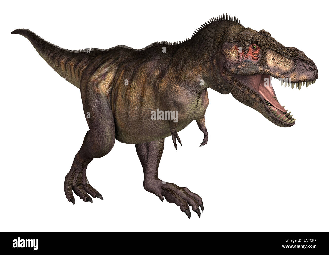 3d digital render dinosaur tyrannosaurus hi-res stock photography and ...