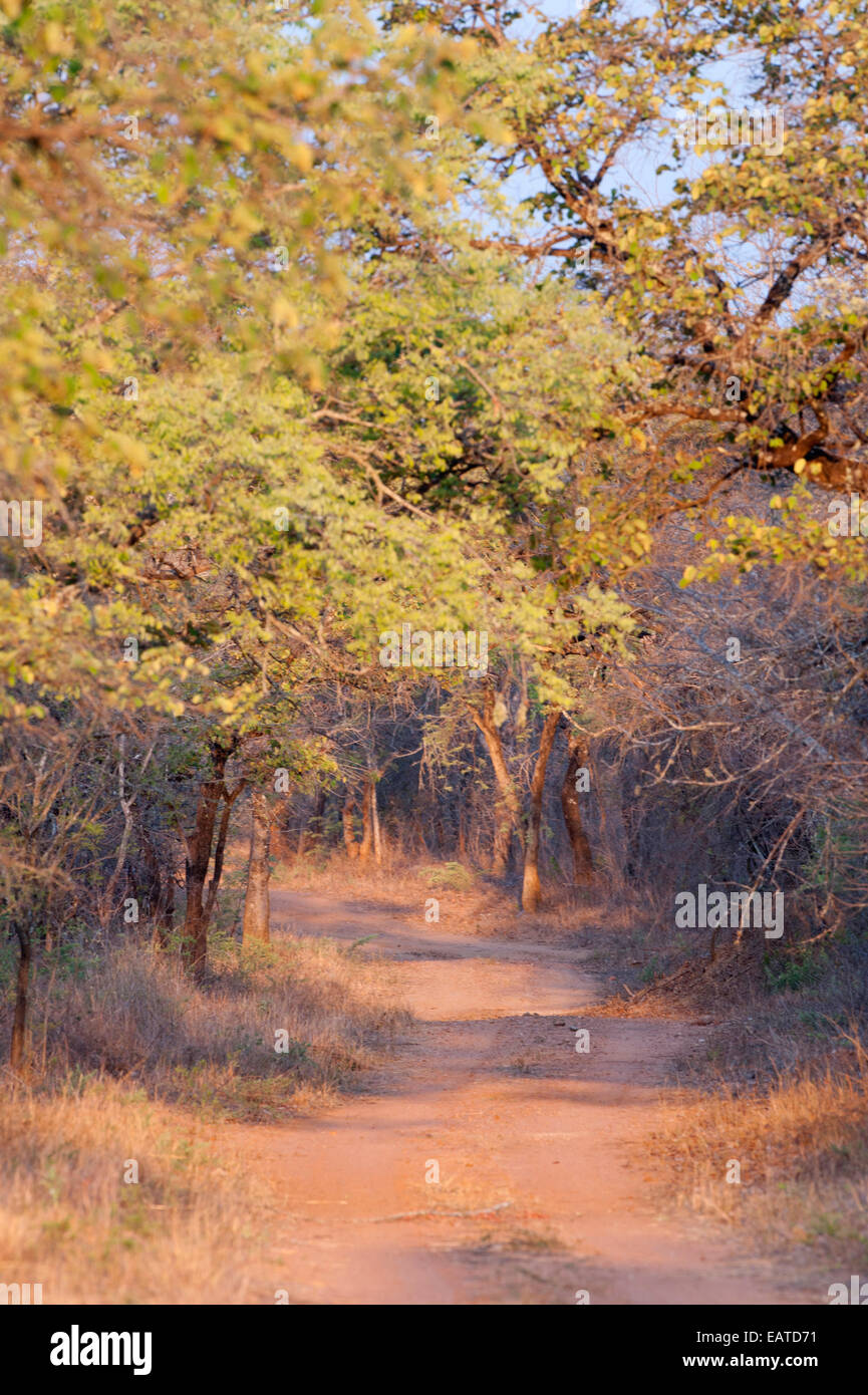 Lake mutirikwe hi-res stock photography and images - Alamy