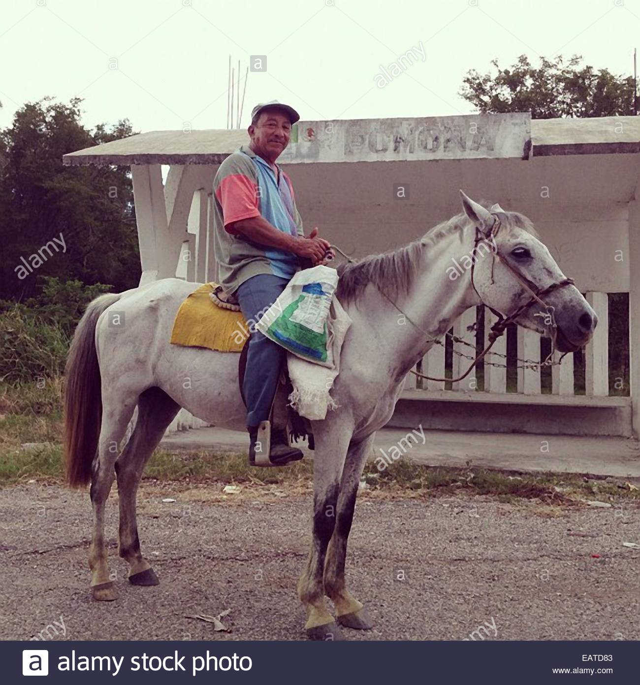 Vaquero Stock Photos & Vaquero Stock Images - Alamy Vaquero Stock Photos & Vaquero Stock Images - Alamy