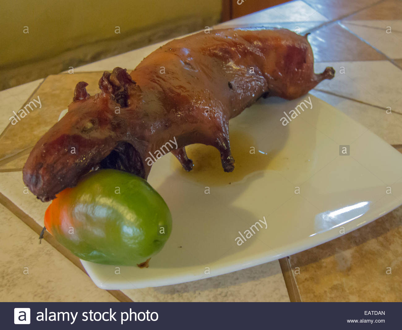 Cuy Guinea Pig High Resolution Stock Photography and Images - Alamy