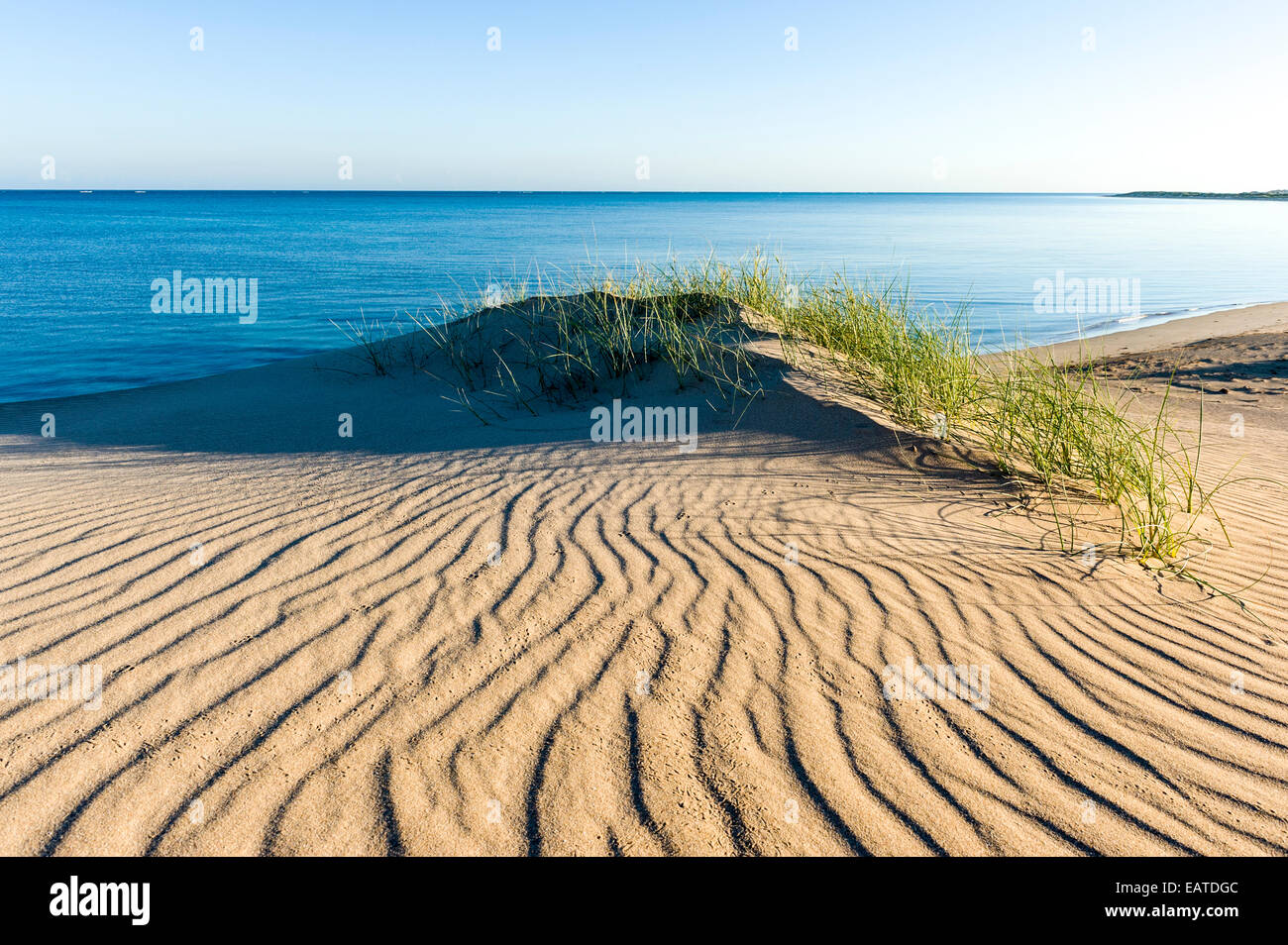 Wind ripples a coastal desert sand dune above a calm blue sea Stock ...