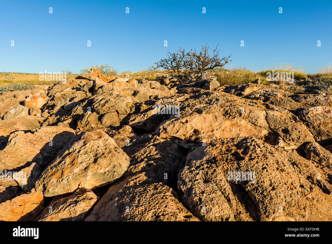 An ancient eroded limestone reef exposed to the baking desert sun Stock ...