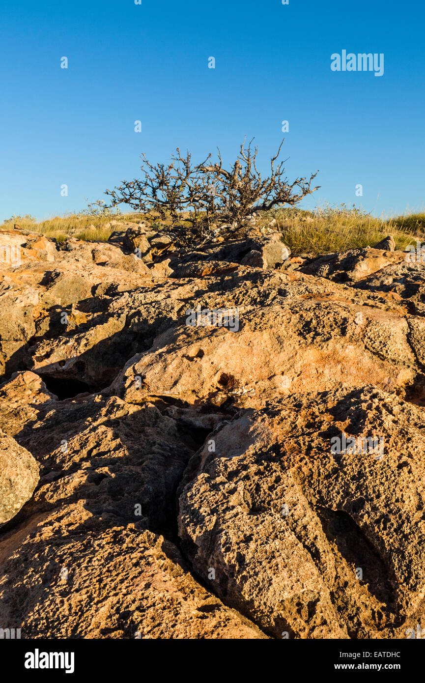 Limestone reef, western australia hi-res stock photography and images ...