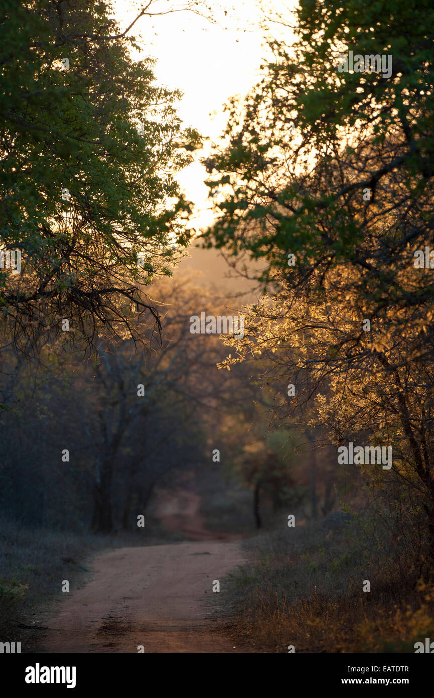 Lake Mutirikwe High Resolution Stock Photography and Images - Alamy