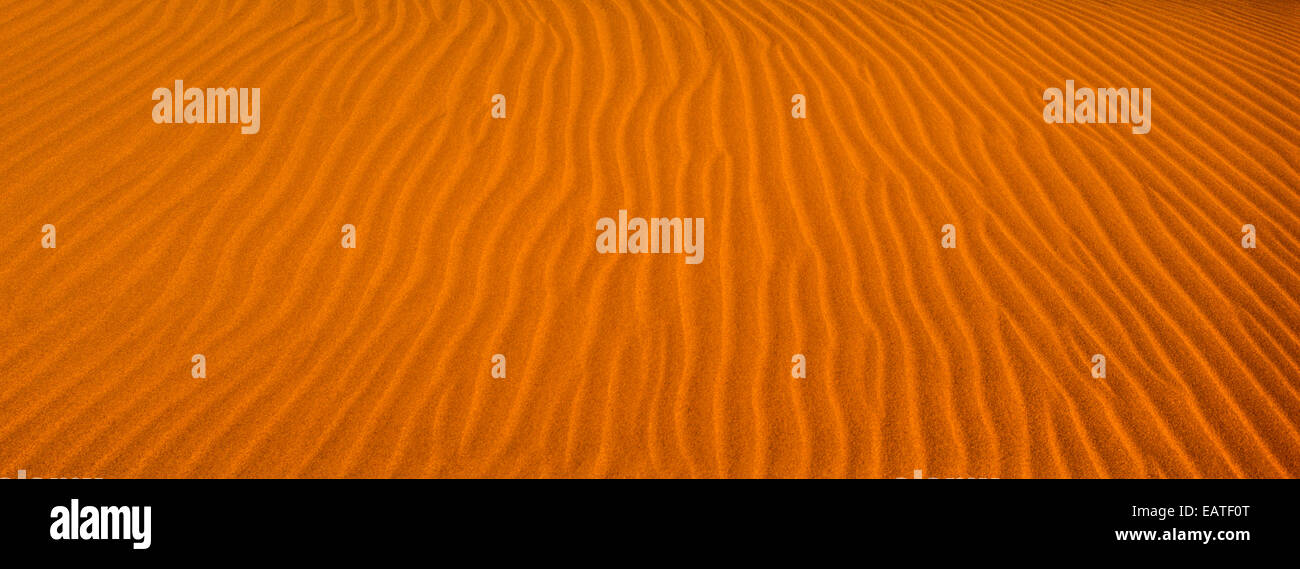 Geometric ripples in the face of a red sand dune in a coastal desert ...