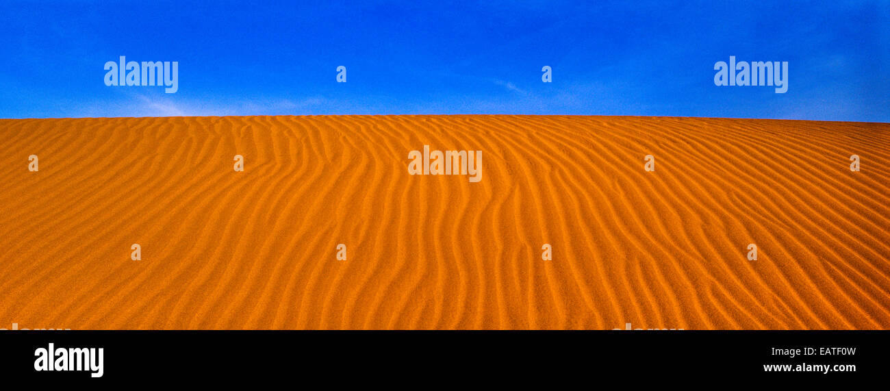 Geometric ripples in the face of a red sand dune in a coastal desert ...