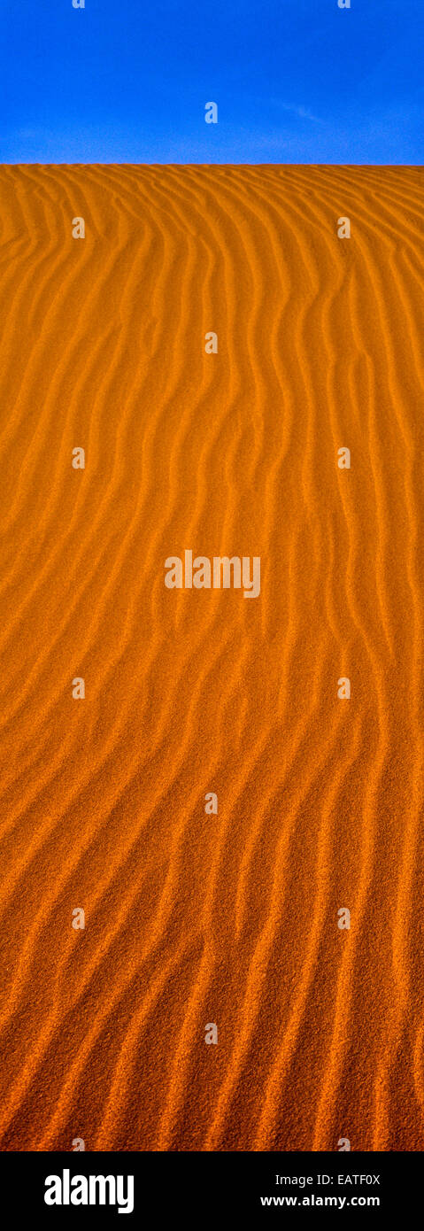 Geometric ripples in the face of a red sand dune in a coastal desert ...