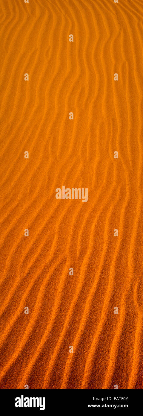 Geometric ripples in the face of a red sand dune in a coastal desert ...