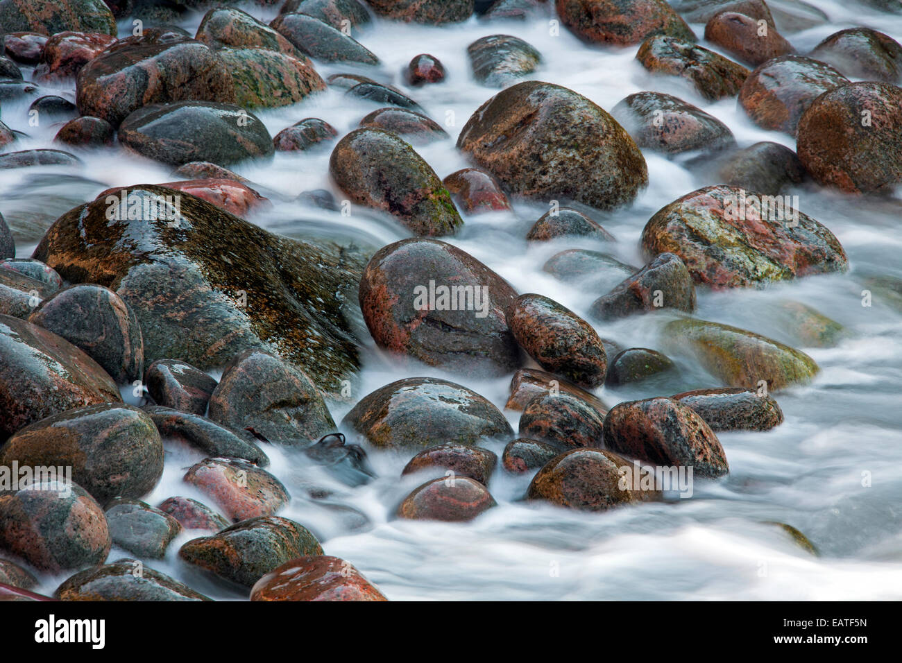 Close up of colourful cobbles covered by wave on shingle beach at ...