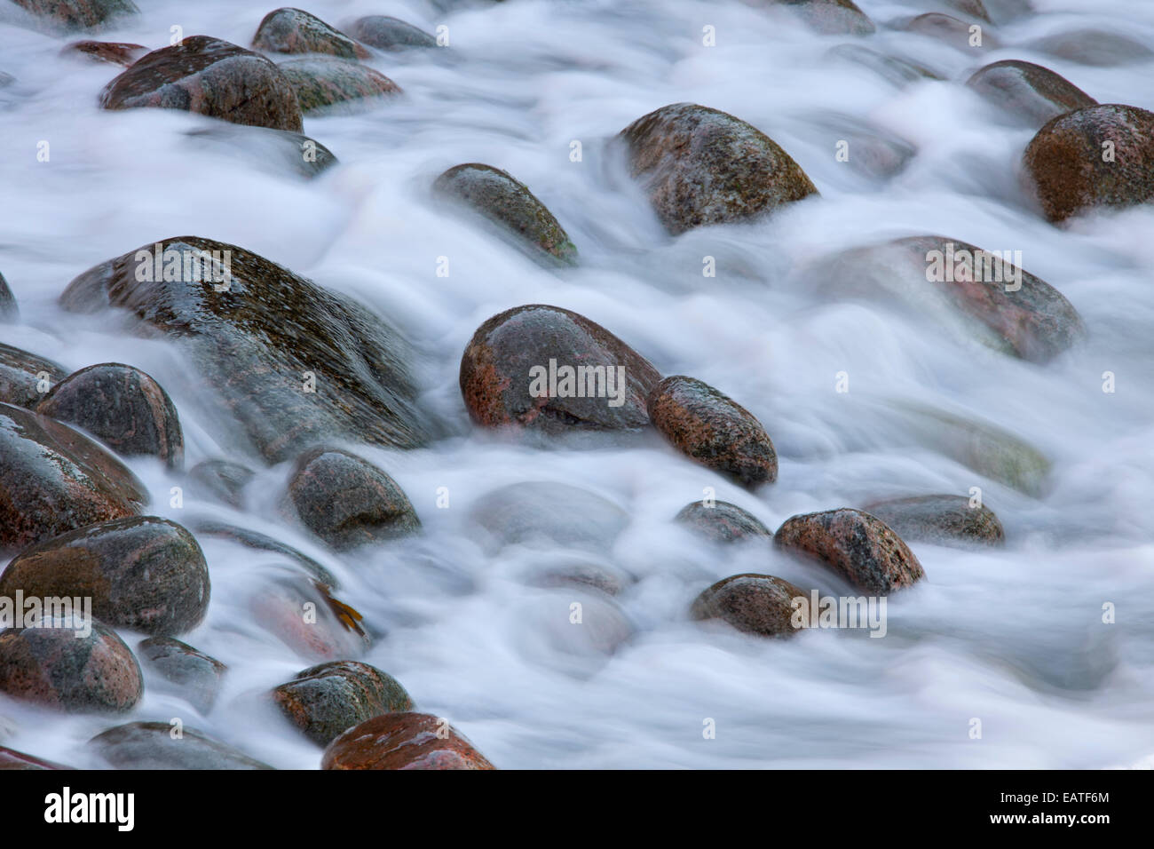 Close up of colourful cobbles covered by wave on shingle beach at ...
