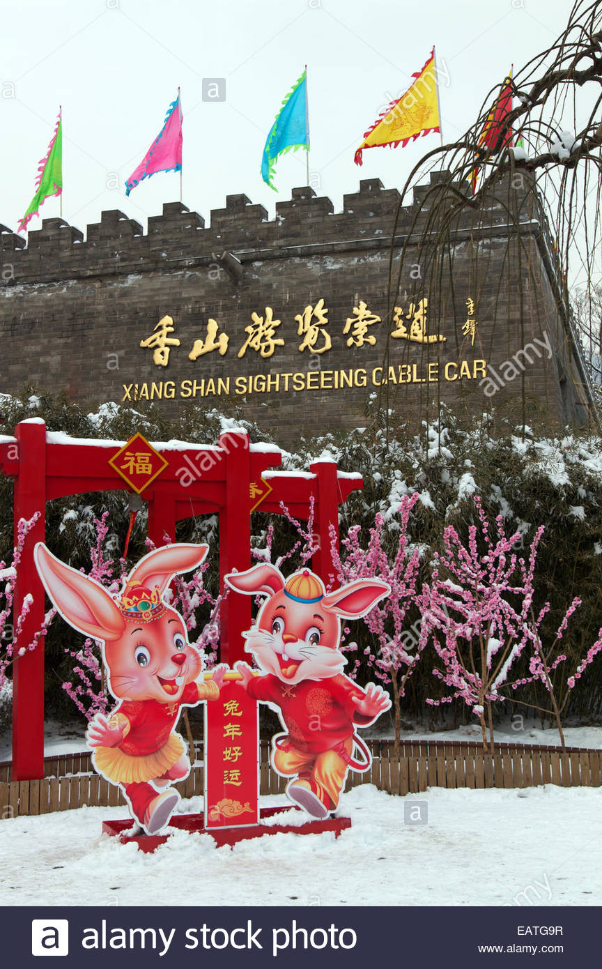 Cartoon Rabbit Stock Photos & Cartoon Rabbit Stock Images - Alamy