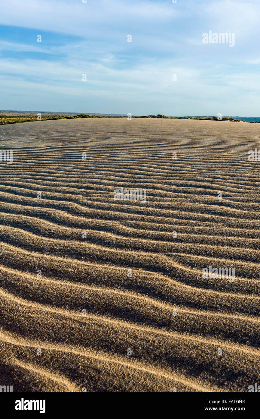 Late afternoon sun rays over windblown ripples on a coastal sand dune ...