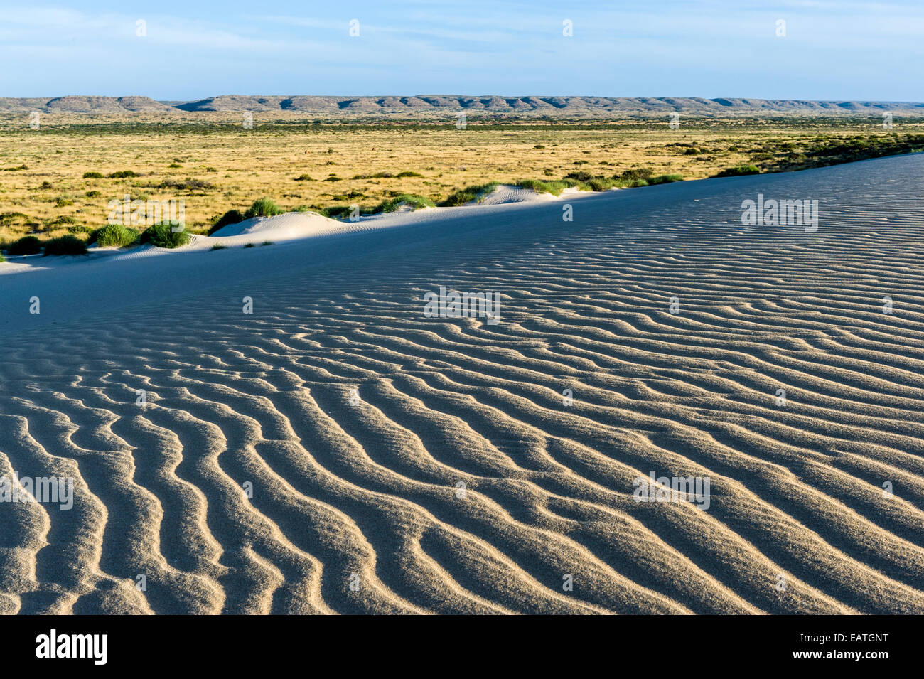 Late afternoon sun rays over windblown ripples on a coastal sand dune ...