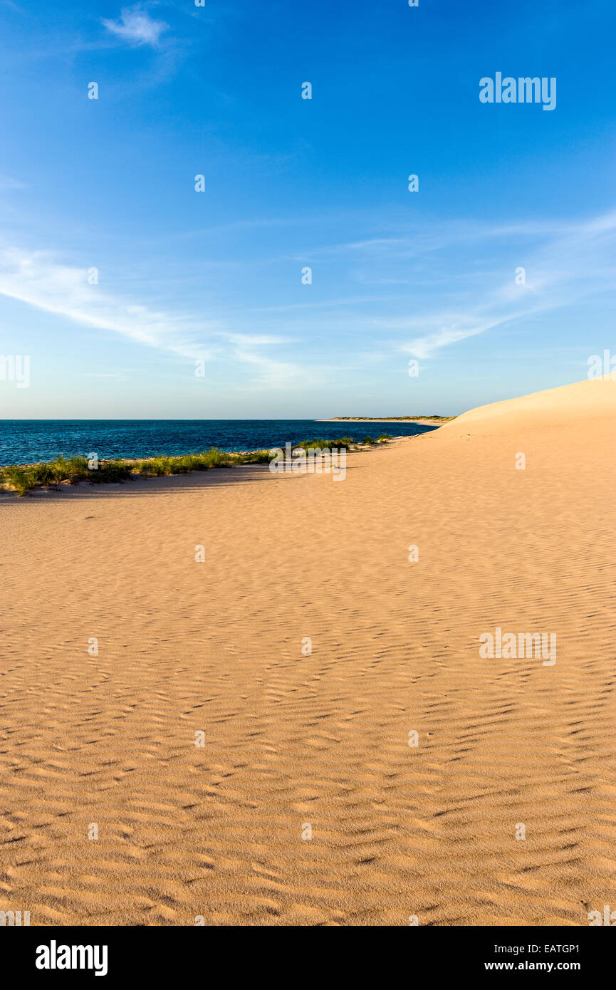 Sweeping coastal desert sand dunes flow into tropical seas at sunset ...