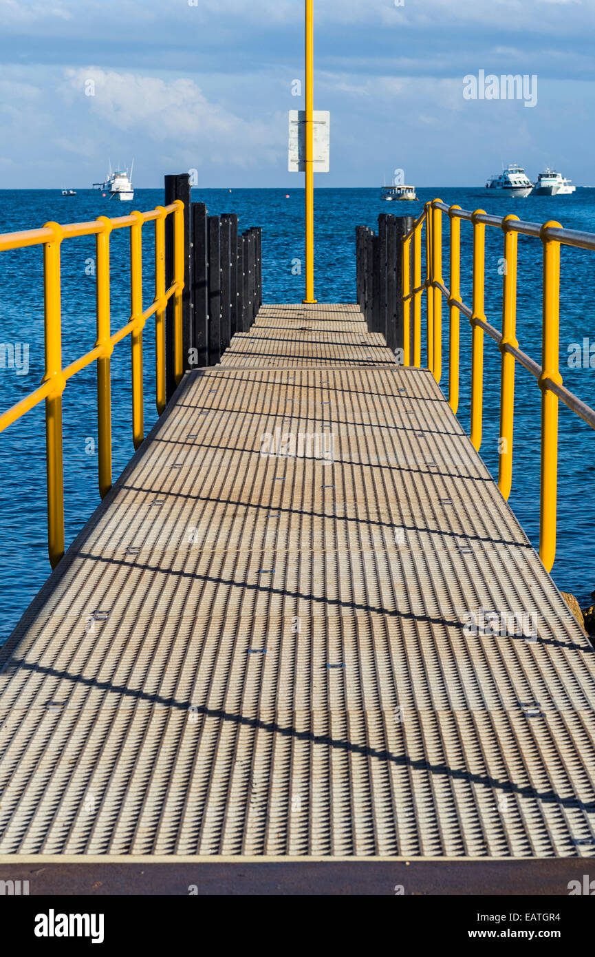 A small jetty with bright yellow safety handrails overlooks the sea ...