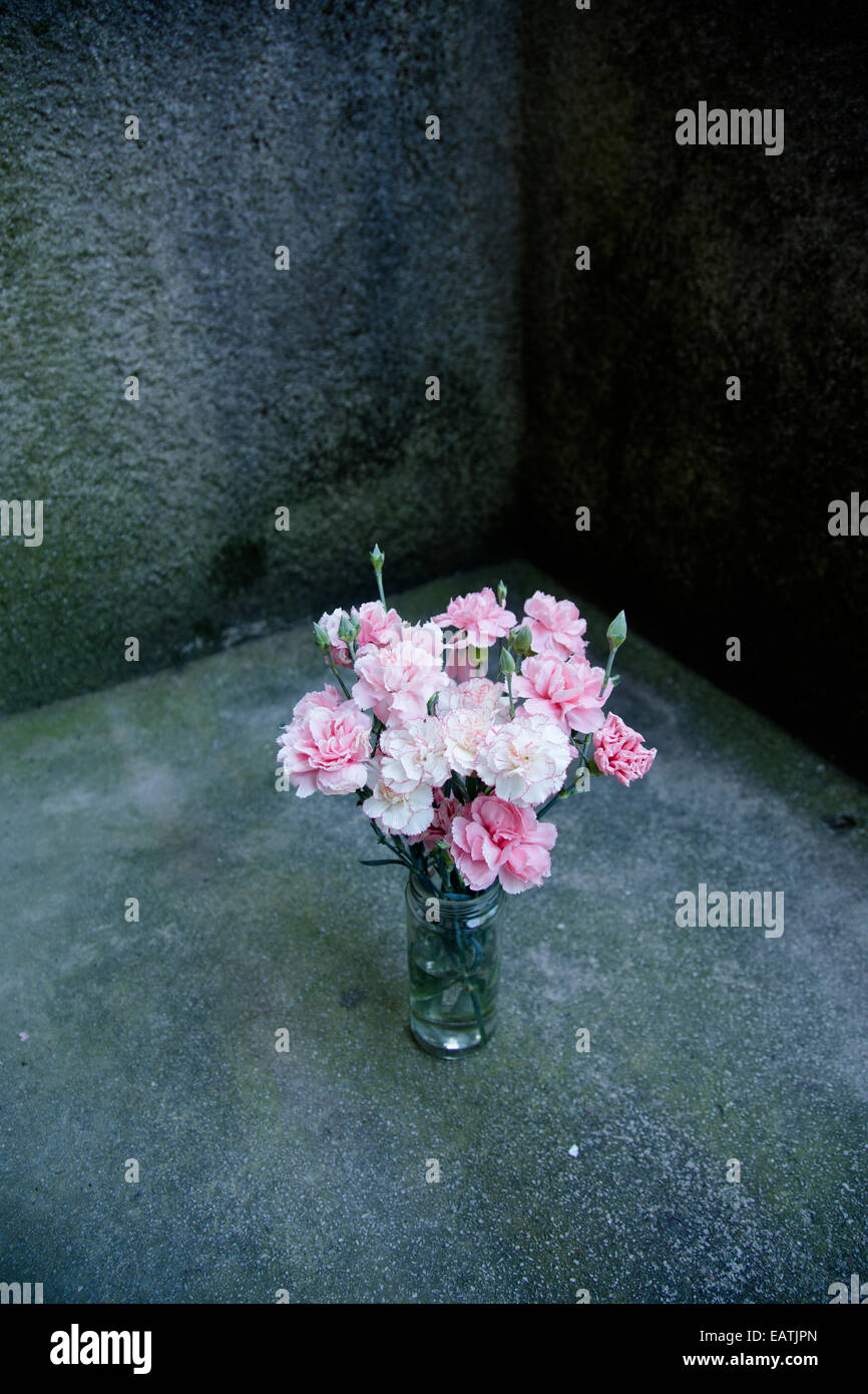 Simple Carnation flower arrangement Stock Photo - Alamy