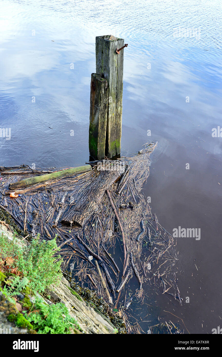 Rubbish trash garbage river hi-res stock photography and images - Alamy